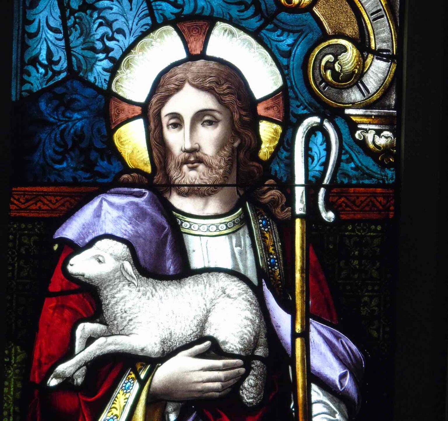 Pedro: el Papa de todos, también de las ovejas lastimadas | Gaudium ...