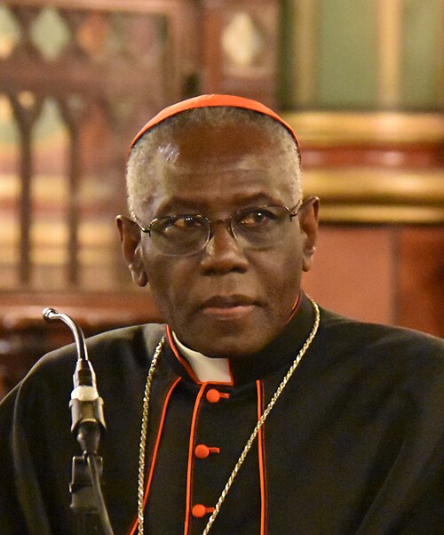 Cardenal Sarah responde a La Croix: “La misericordia levanta al pecador ...